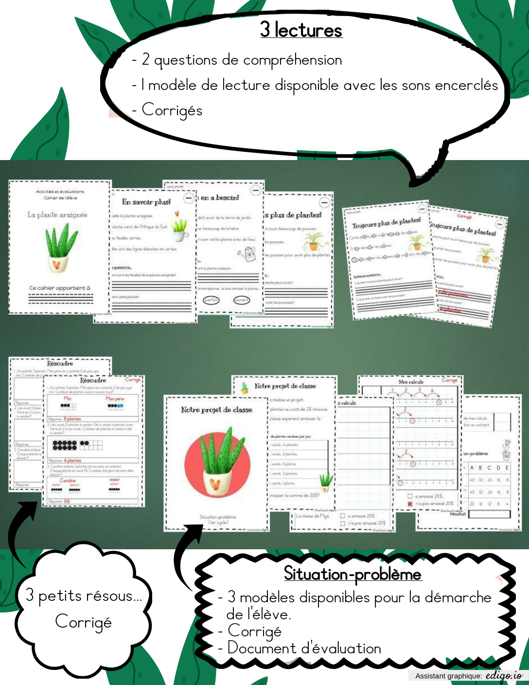 Activités et évaluations, 2e année, 1re année, Exercices et activités ...